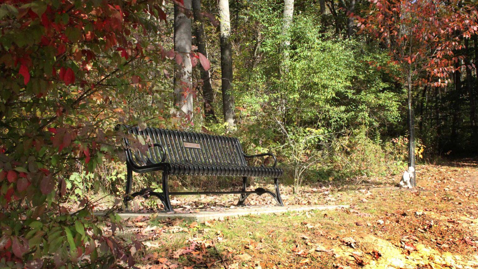 Boyce Park - Allegheny County Parks Foundation
