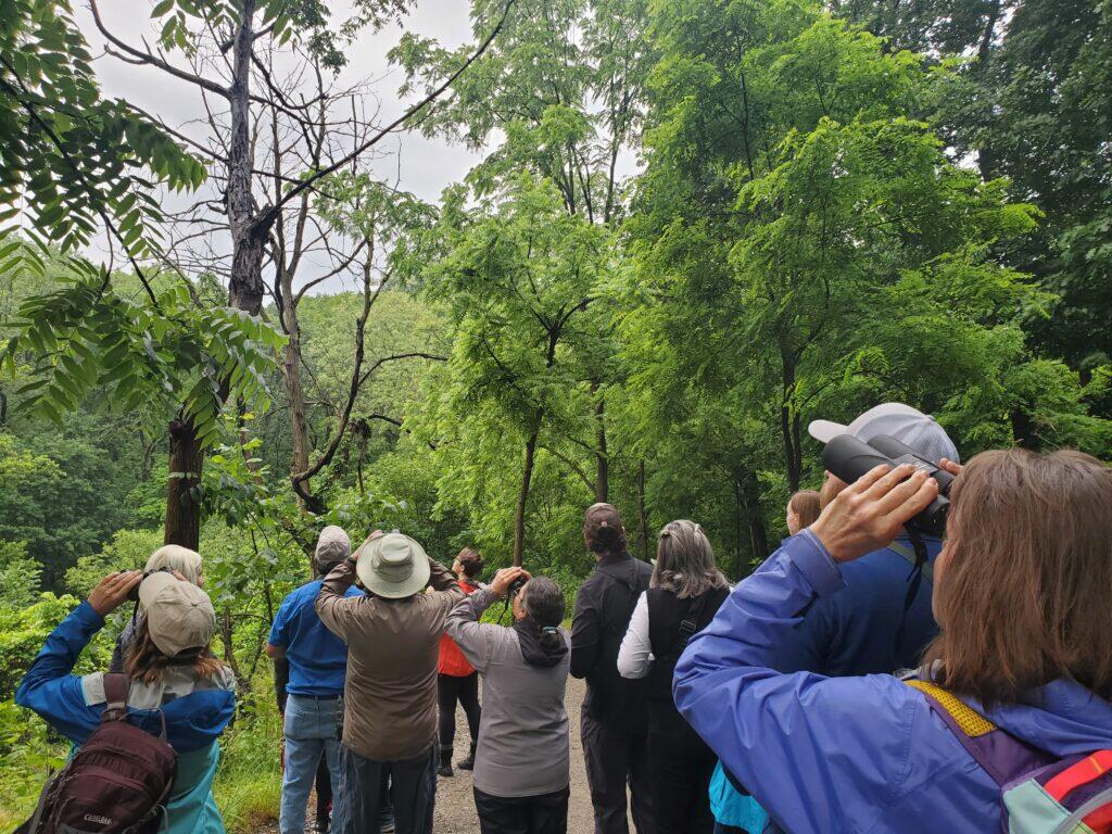 Understanding Our Park User Survey - Allegheny County Parks Foundation